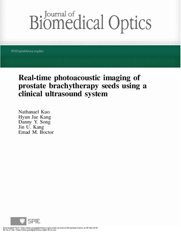 (PDF) Real-time photoacoustic imaging of prostate brachytherapy seeds ...
