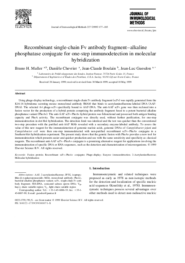 (PDF) Recombinant single-chain Fv antibody fragment–alkaline ...