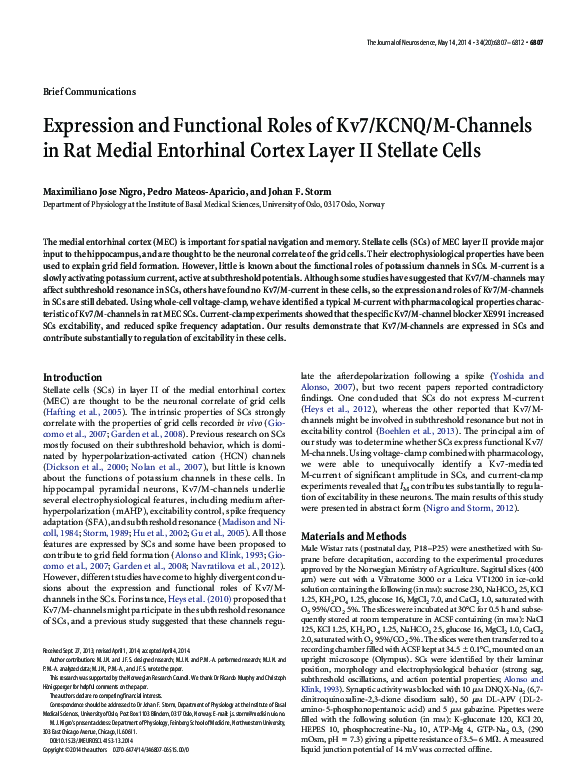 (PDF) Expression and Functional Roles of Kv7/KCNQ/M-Channels in Rat ...