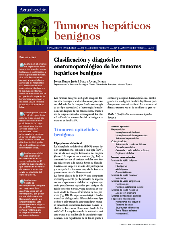 (PDF) Clasificación y diagnóstico anatomopatológico de los tumores hepáticos benignos