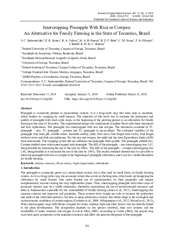 (PDF) Intercropping Pineapple With Rice or Cowpea: An Alternative for ...