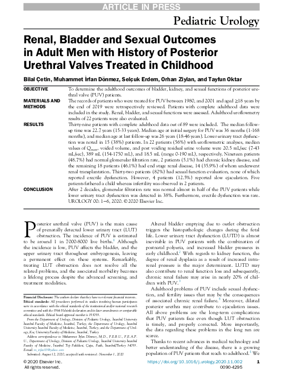 (PDF) Renal, Bladder and Sexual Outcomes in Adult Men with History of ...