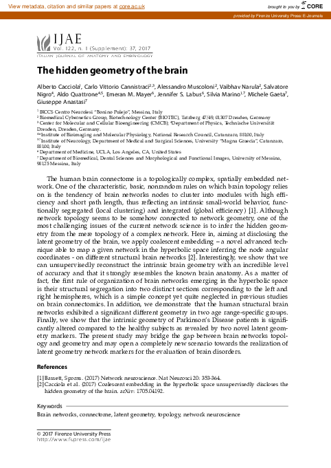 (PDF) The hidden geometry of the brain