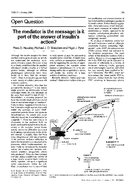 (PDF) The mediator is the message: is it part of the answer of insulin ...