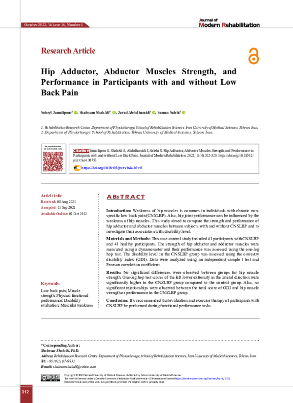 (PDF) Hip Adductor, Abductor Muscles Strength, and Performance in ...