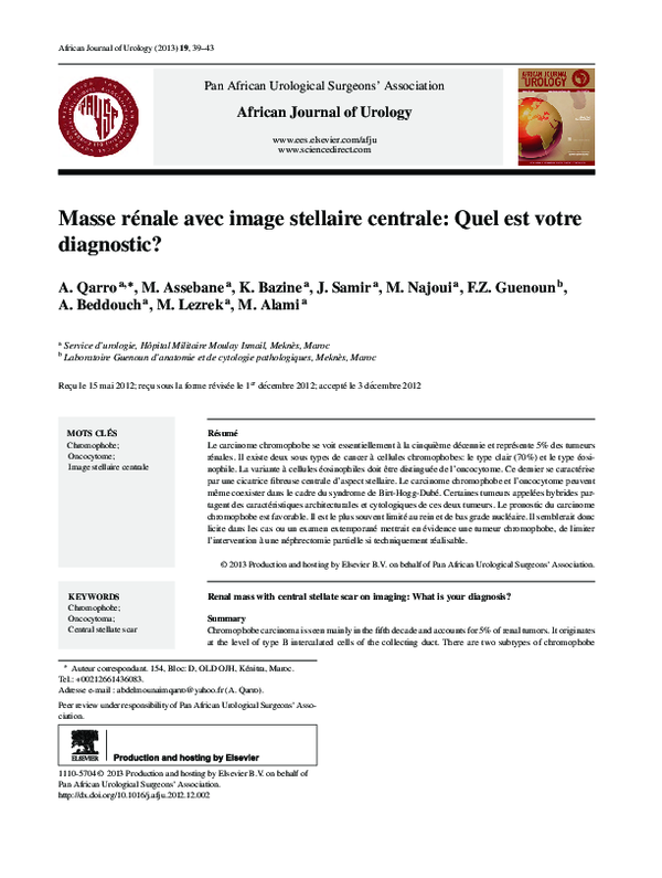 (PDF) Renal mass with central stellate scar on imaging: What is your ...