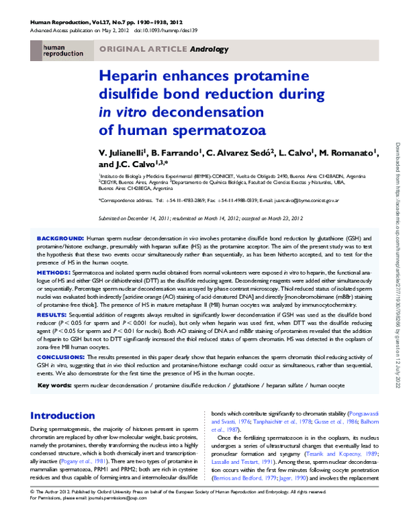 (PDF) Heparin enhances protamine disulfide bond reduction during in ...