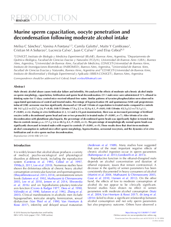 Pdf Murine Sperm Capacitation Oocyte Penetration And Decondensation