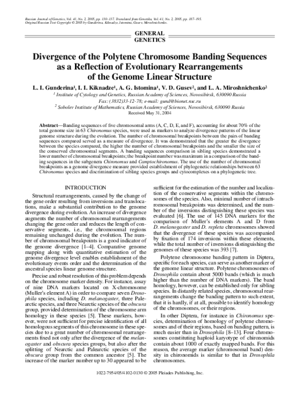 (PDF) Divergence of the polytene chromosome banding sequences as a ...