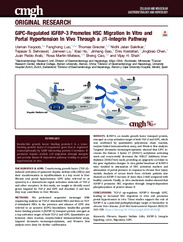 (PDF) GIPC, IGFBP-3, and Portal Hypertension in HSCs