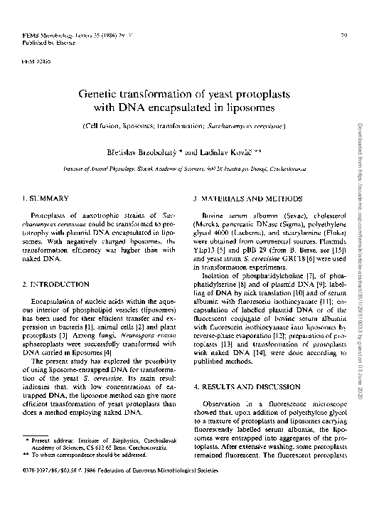 (PDF) Genetic transformation of yeast protoplasts with DNA encapsulated ...