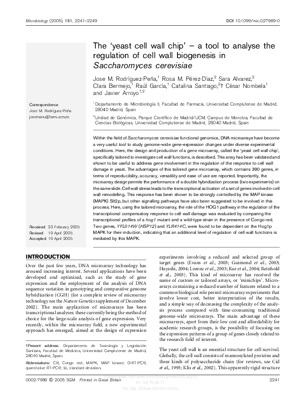 (PDF) The ‘yeast cell wall chip’ – a tool to analyse the regulation of cell wall biogenesis in ...
