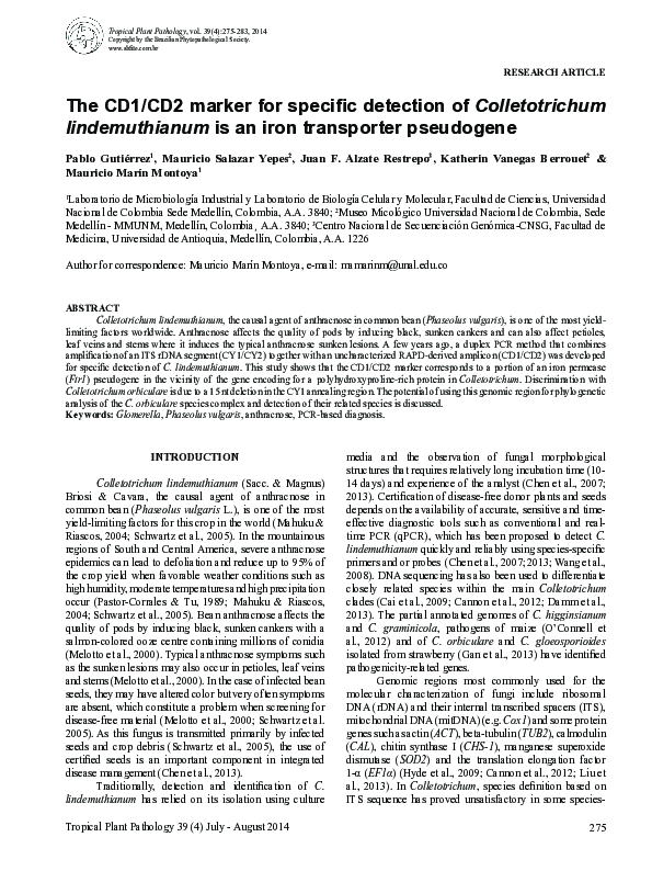 (PDF) The CD1/CD2 marker for specific detection of Colletotrichum lindemuthianum is an iron ...
