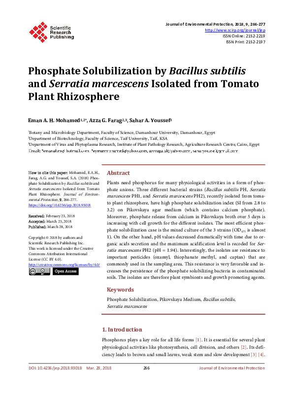 (PDF) Phosphate Solubilization by Bacillus subtilis and Serratia marcescens Isolated from Tomato ...
