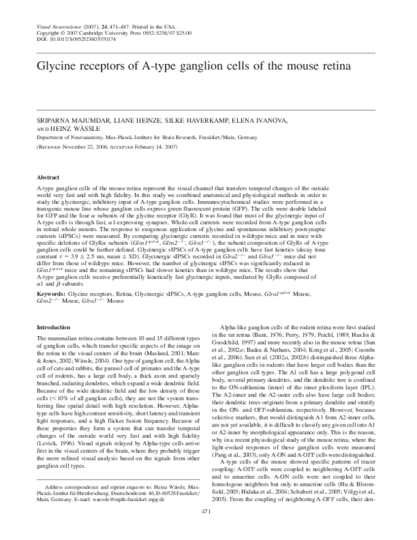 (PDF) Glycine receptors of A-type ganglion cells of the mouse retina
