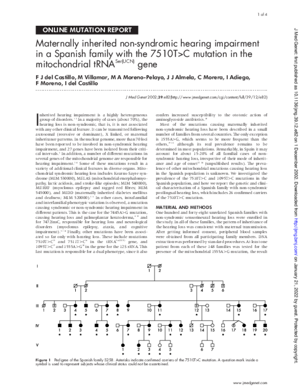 (PDF) Maternally inherited non-syndromic hearing impairment in a ...