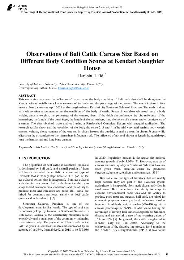 (PDF) Observations of Bali Cattle Carcass Size Based on Different Body ...
