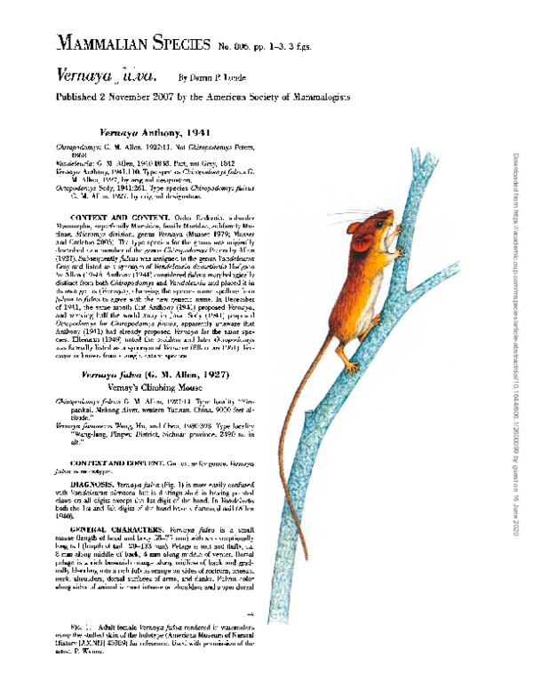 (PDF) Vernaya fulva