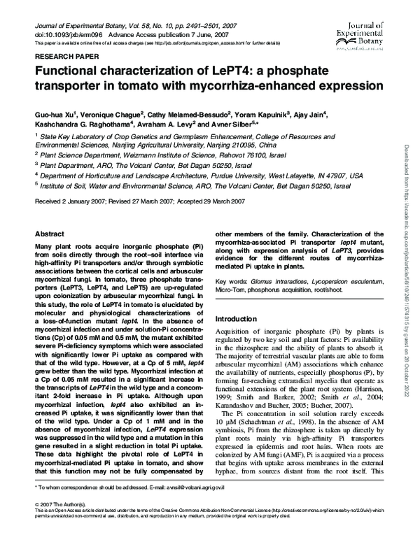 (PDF) Transporter in Tomato with Mycorrhiza-Enhanced Expression