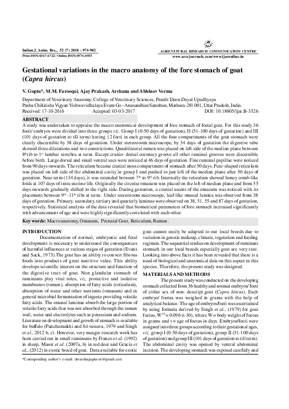 Pdf Gestational Variations In The Macro Anatomy Of The Fore Stomach Of Goat Capra Hircus