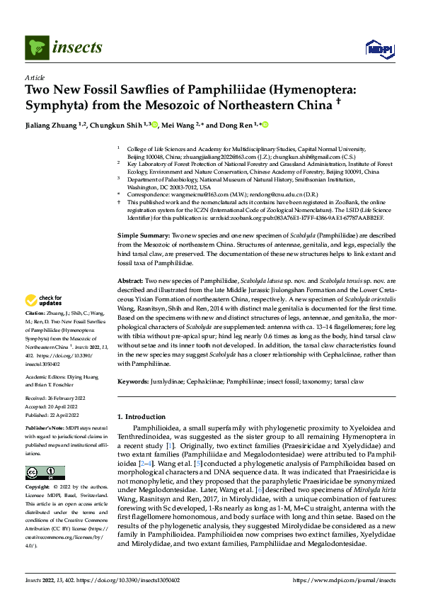 (PDF) Two New Fossil Sawflies of Pamphiliidae (Hymenoptera: Symphyta ...