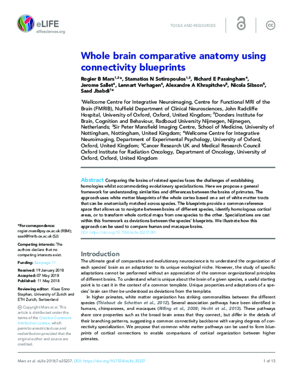 (PDF) Whole brain comparative anatomy using connectivity blueprints ...