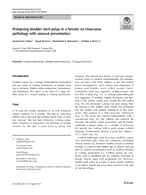 (PDF) Prolapsing bladder neck polyp in a female: an innocuous pathology ...
