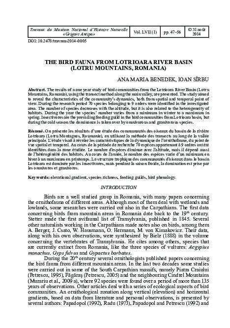 (PDF) The Bird Fauna From Lotrioara River Basin (Lotru Mountains ...