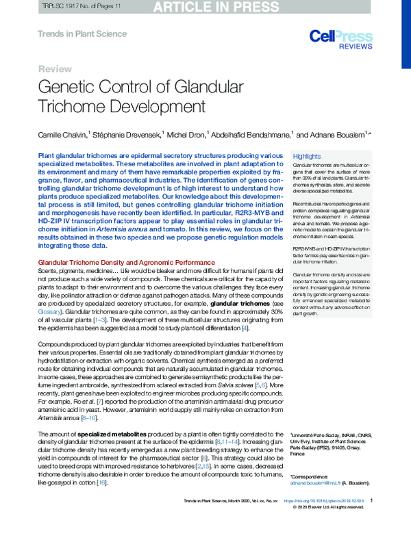 (PDF) Genetic Control of Glandular Trichome Development