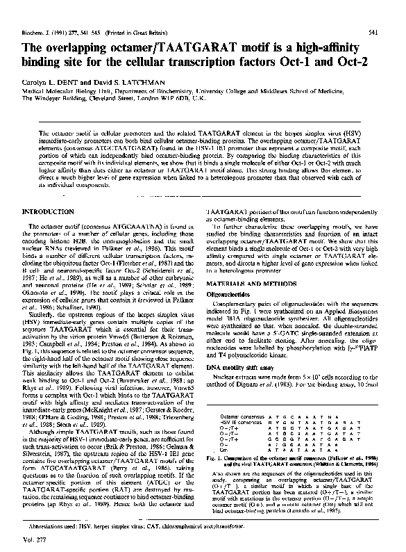 (PDF) The overlapping octamer/TAATGARAT motif is a high-affinity ...