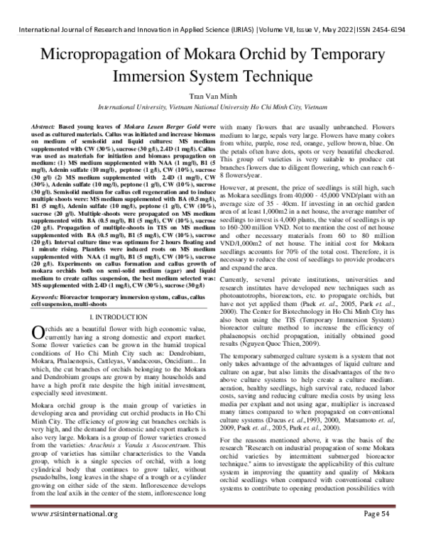 (PDF) Micropropagation of Mokara Orchid by Temporary Immersion System ...