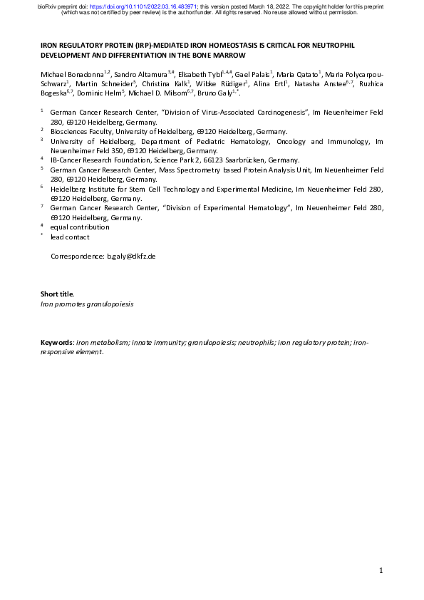 (PDF) Iron Regulatory Protein (Irp)-Mediated Iron Homeostasis is ...