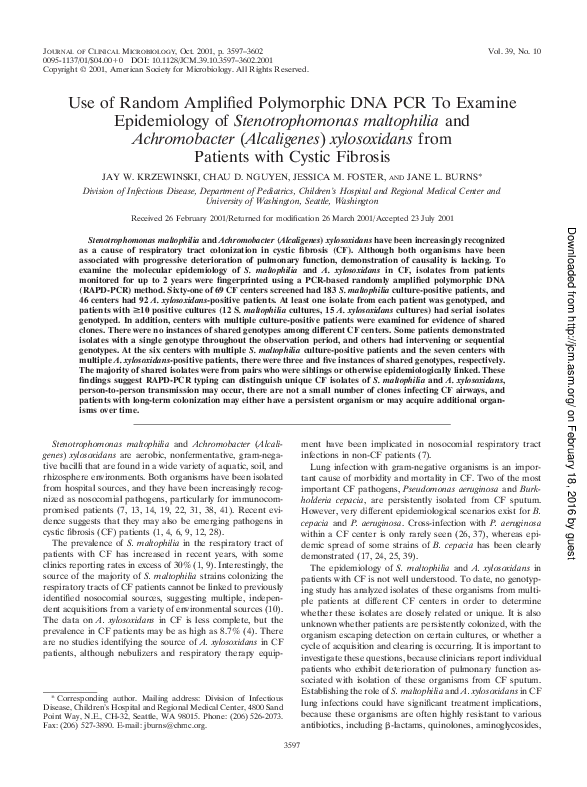 (PDF) Use of Random Amplified Polymorphic DNA PCR To Examine ...