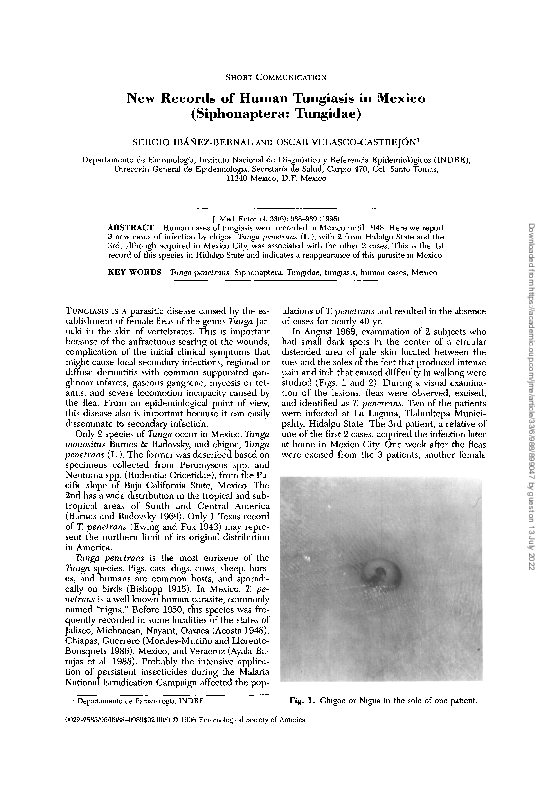 (PDF) New Records of Human Tungiasis in Mexico (Siphonaptera: Tungidae)