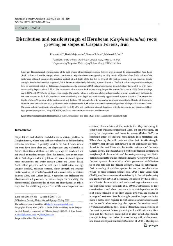 (PDF) Distribution and tensile strength of Hornbeam (Carpinus betulus ...