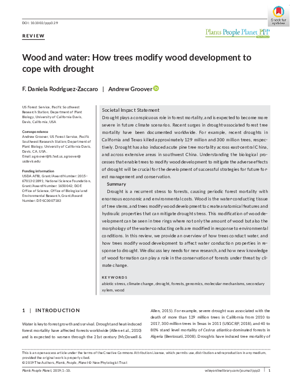 (PDF) Wood and water: How trees modify wood development to cope with ...