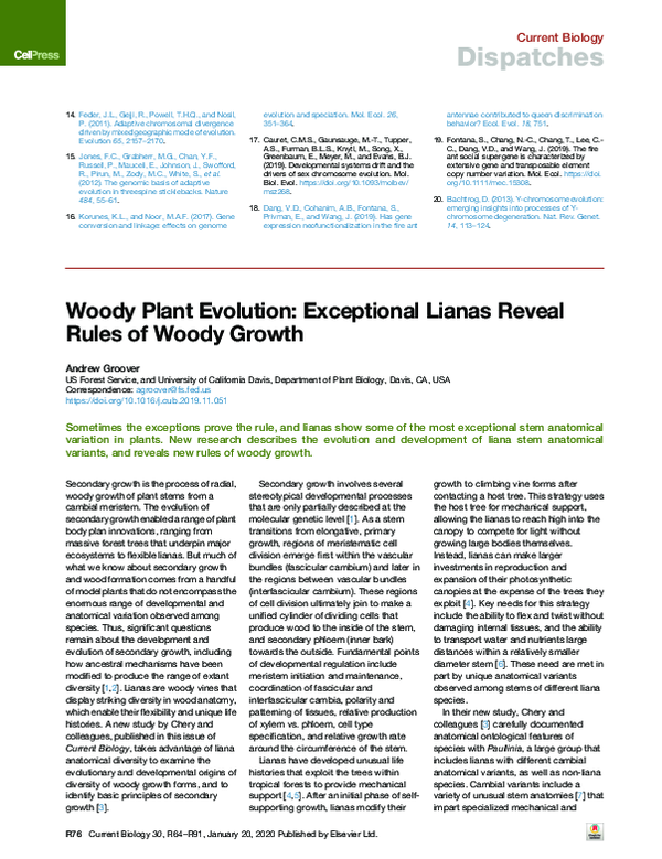(PDF) Woody Plant Evolution: Exceptional Lianas Reveal Rules of Woody ...
