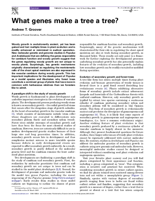 (PDF) What genes make a tree a tree?