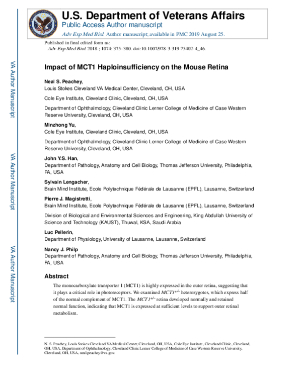 (PDF) Impact of MCT1 Haploinsufficiency on the Mouse Retina