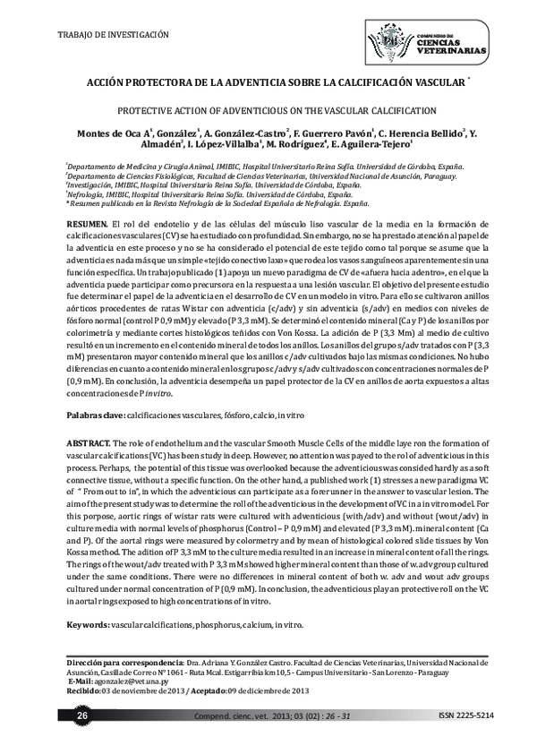 (PDF) Acción Protectora De La Adventicia Sobre La Calcificación Vascular