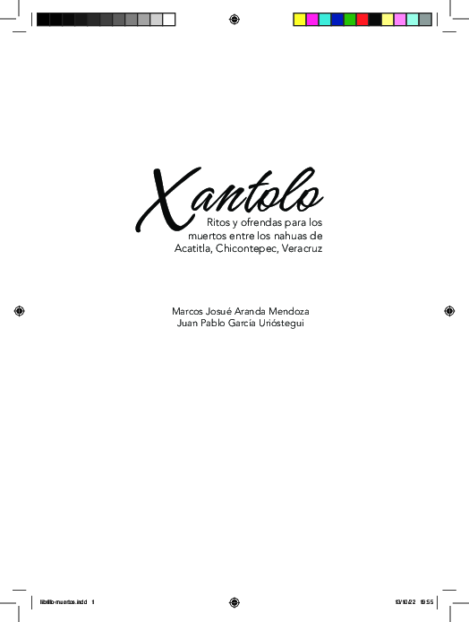 (PDF) Xantolo: Ritos y ofrendas para los muertos entre los nahuas de Acatitla, Chicontepec, Veracruz
