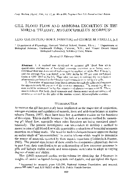 (PDF) Gill blood flow and ammonia excretion in the marine teleost ...