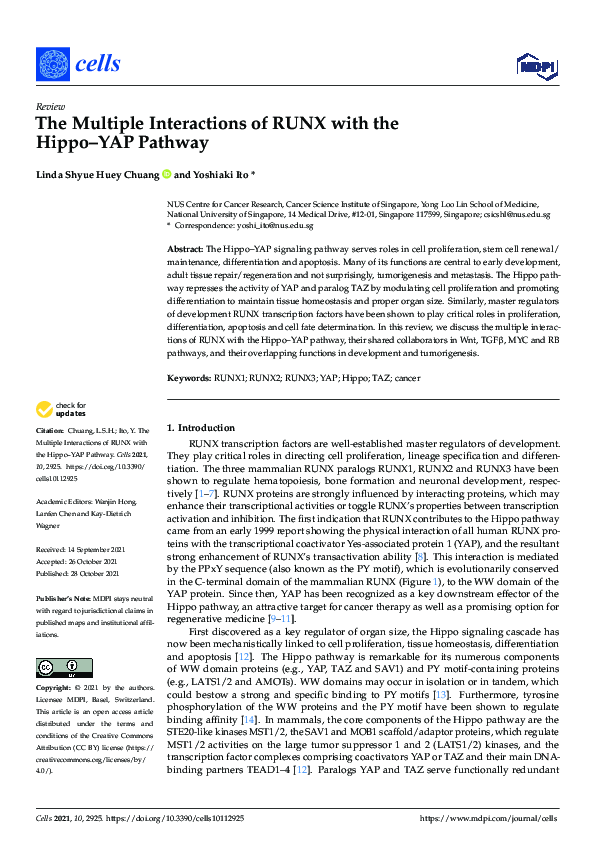 Pdf The Multiple Interactions Of Runx With The Hippoyap Pathway