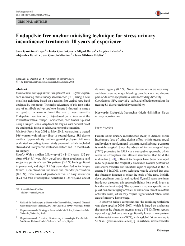 (PDF) Endopelvic free anchor minisling technique for stress urinary ...