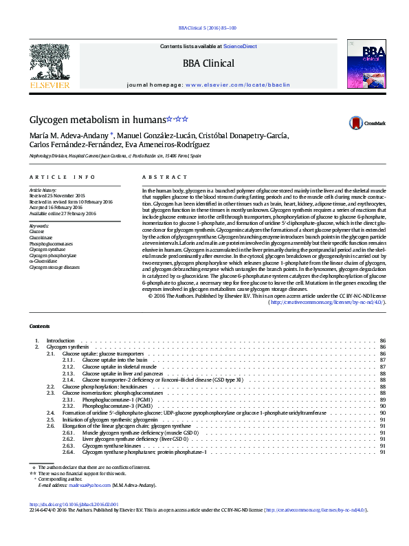 (PDF) Glycogen metabolism in humans | Carlos Fernandez - Academia.edu