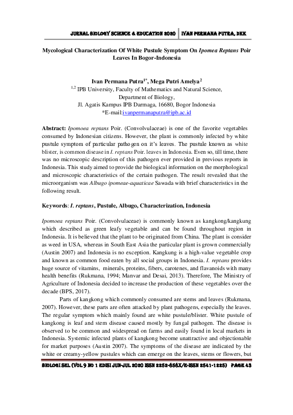 (PDF) Mycological Characterization Of White Pustule Symptom On Ipomea ...