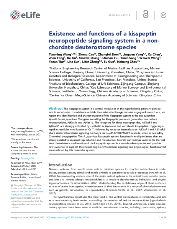 (PDF) Existence and functions of a kisspeptin neuropeptide signaling ...