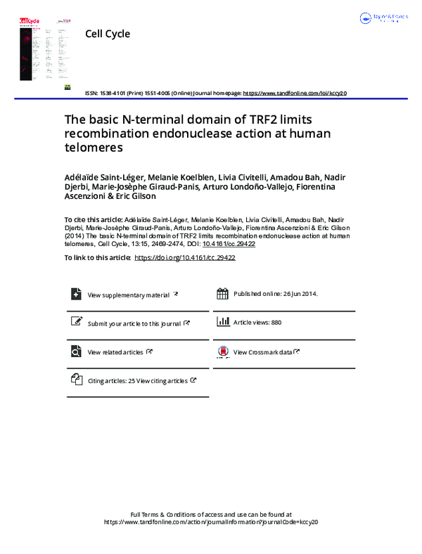 (PDF) The basic N-terminal domain of TRF2 limits recombination ...