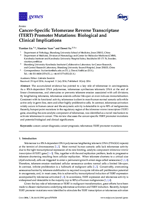Pdf Cancer Specific Telomerase Reverse Transcriptase Tert Promoter