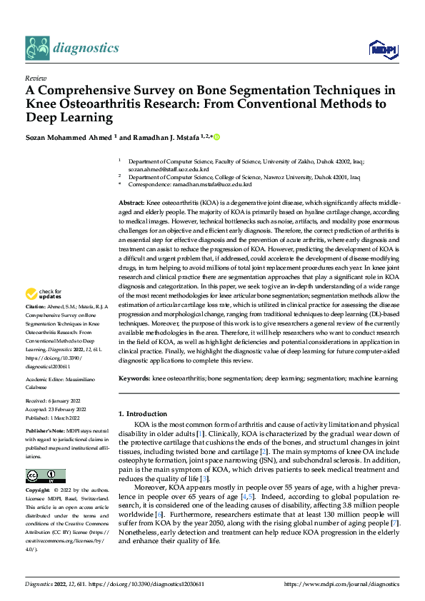 Pdf A Comprehensive Survey On Bone Segmentation Techniques In Knee Osteoarthritis Research